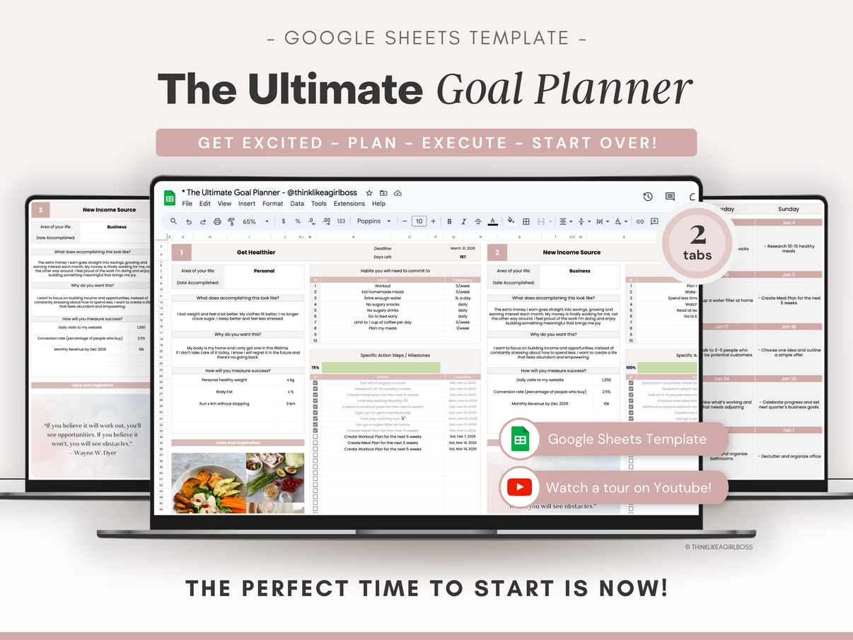 The Ultimate Goal Planner - V1 Pink – Think Like A Girl Boss
