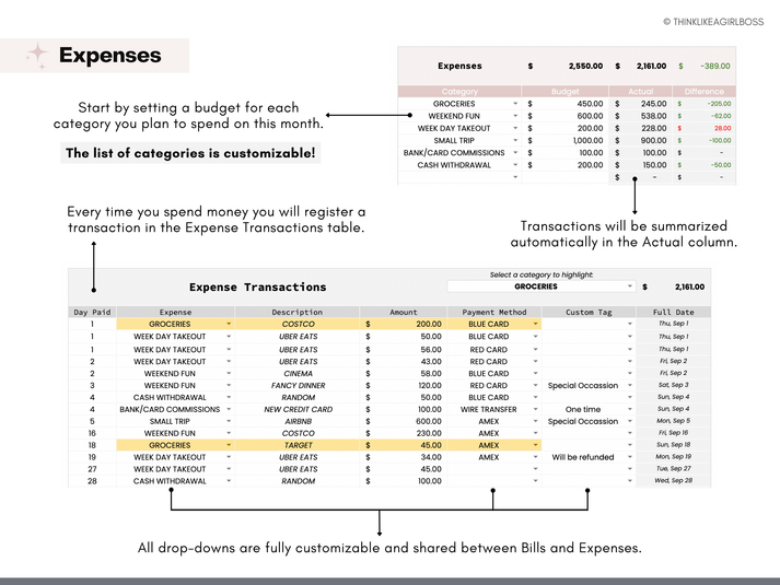 Monthly Budget Spreadsheet - V2 Pink – Think Like A Girl Boss