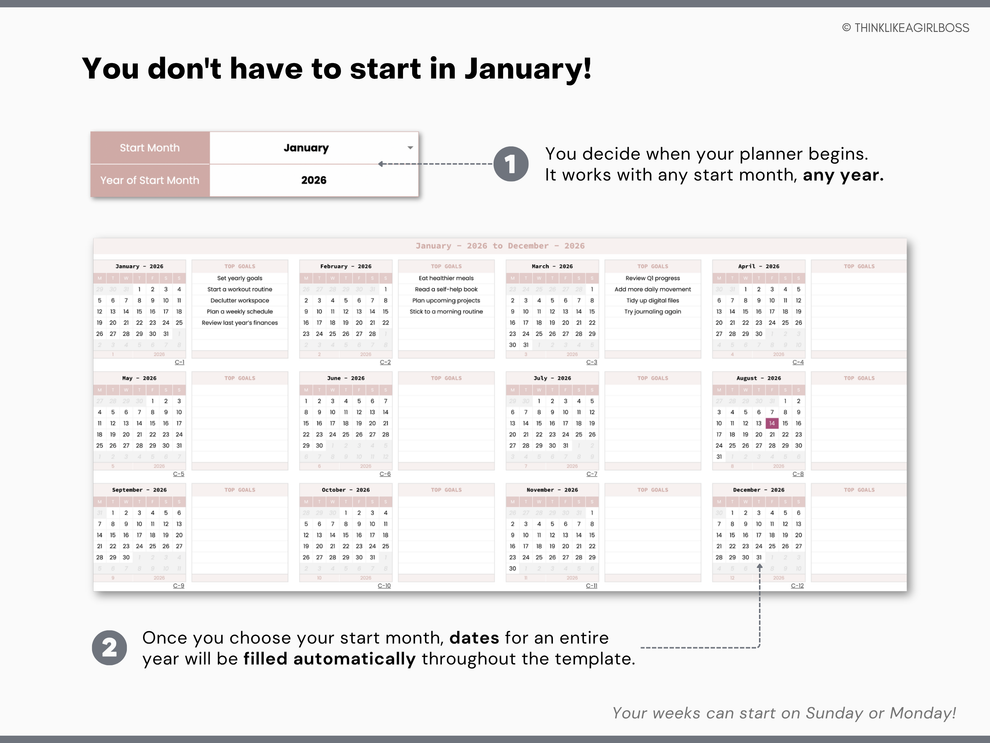 Digital Annual Planner - V1 Pink – Think Like A Girl Boss