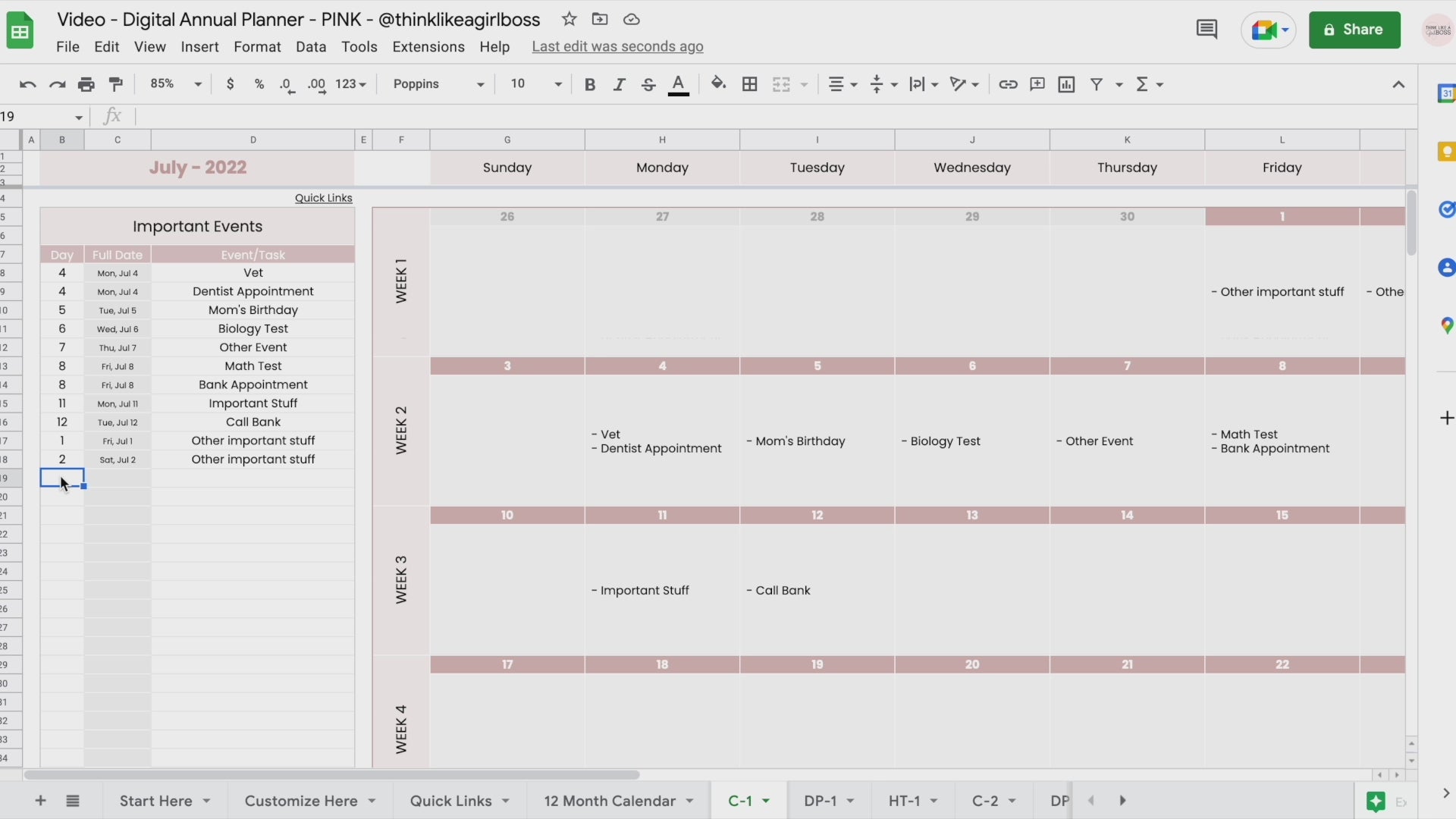 Digital Annual Planner - V1 Pink – Think Like A Girl Boss